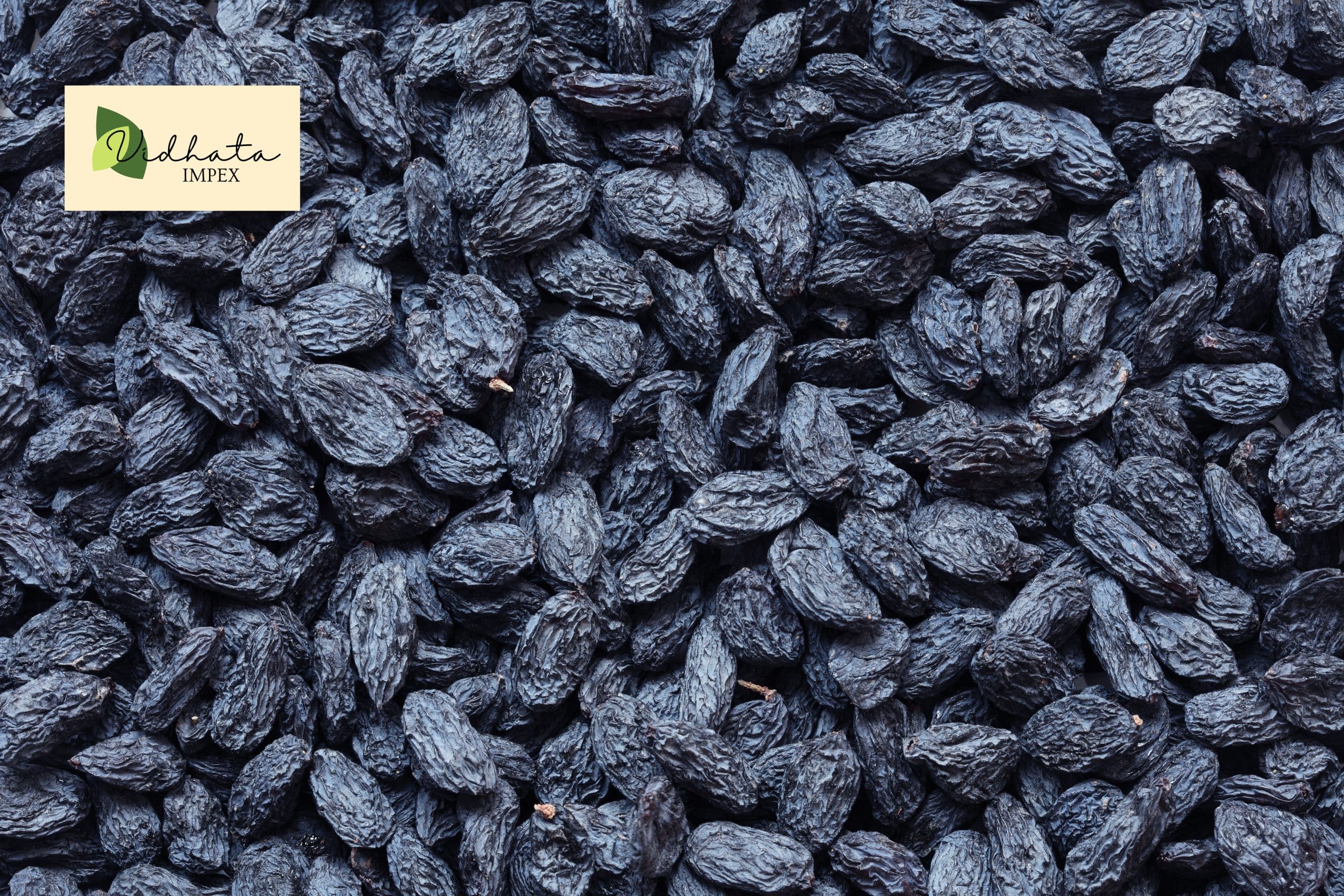 Black Raisins - Vidhata Impex